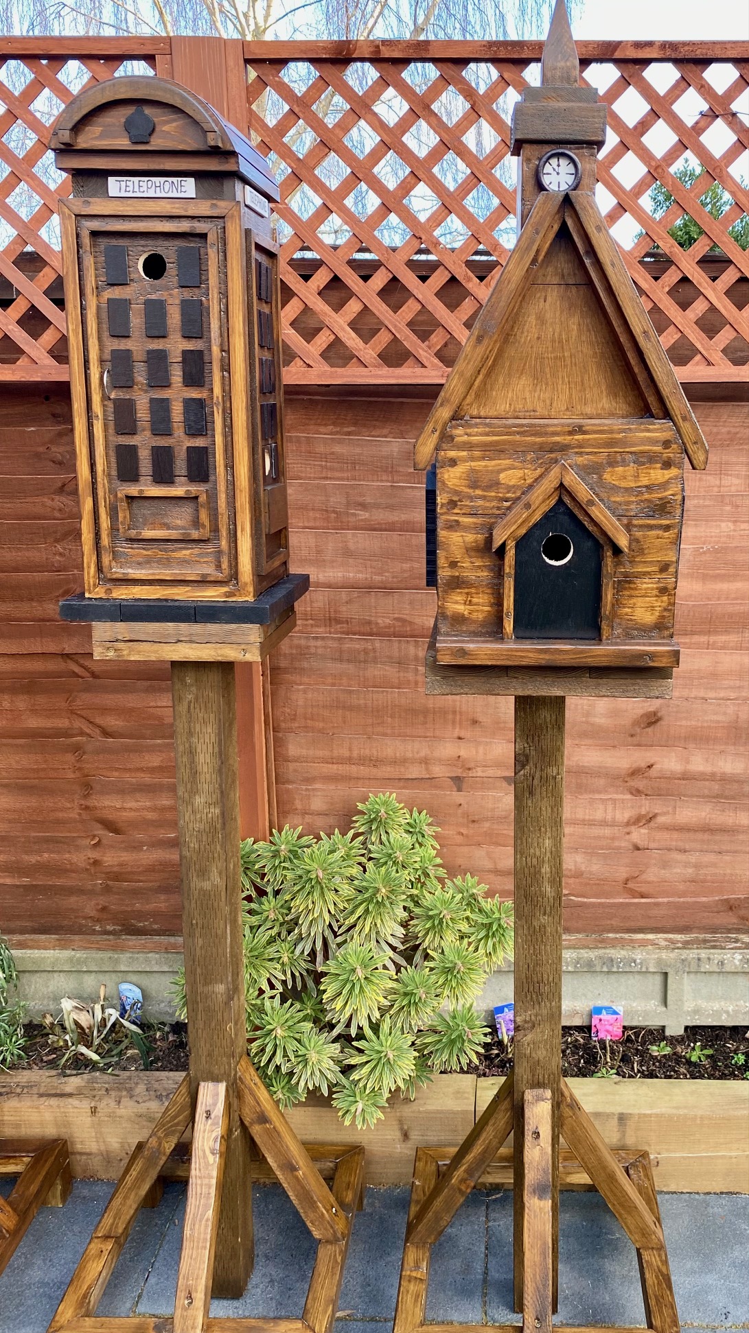 Gallery - Bird & Lodgings