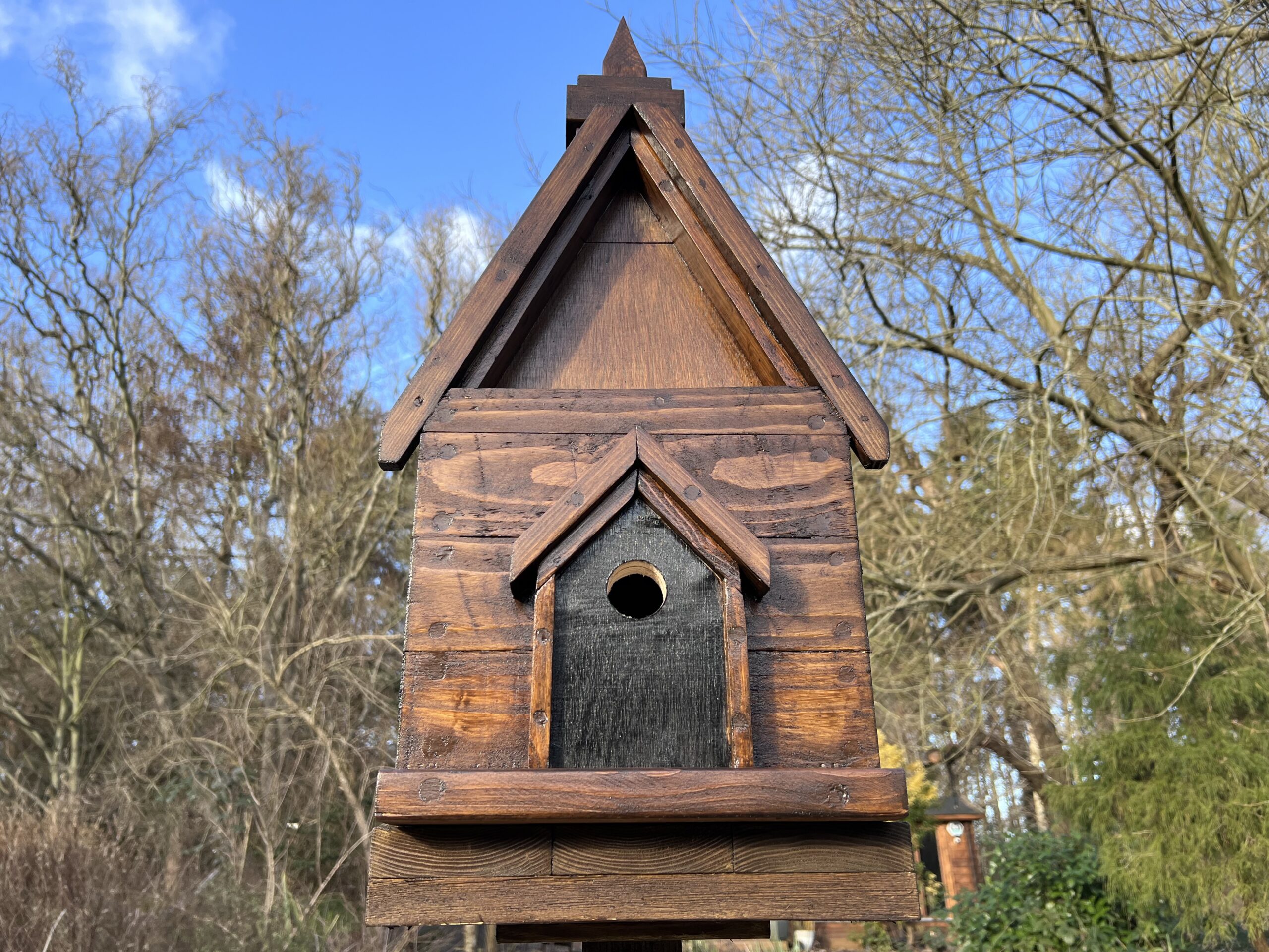 Gallery - Bird & Lodgings