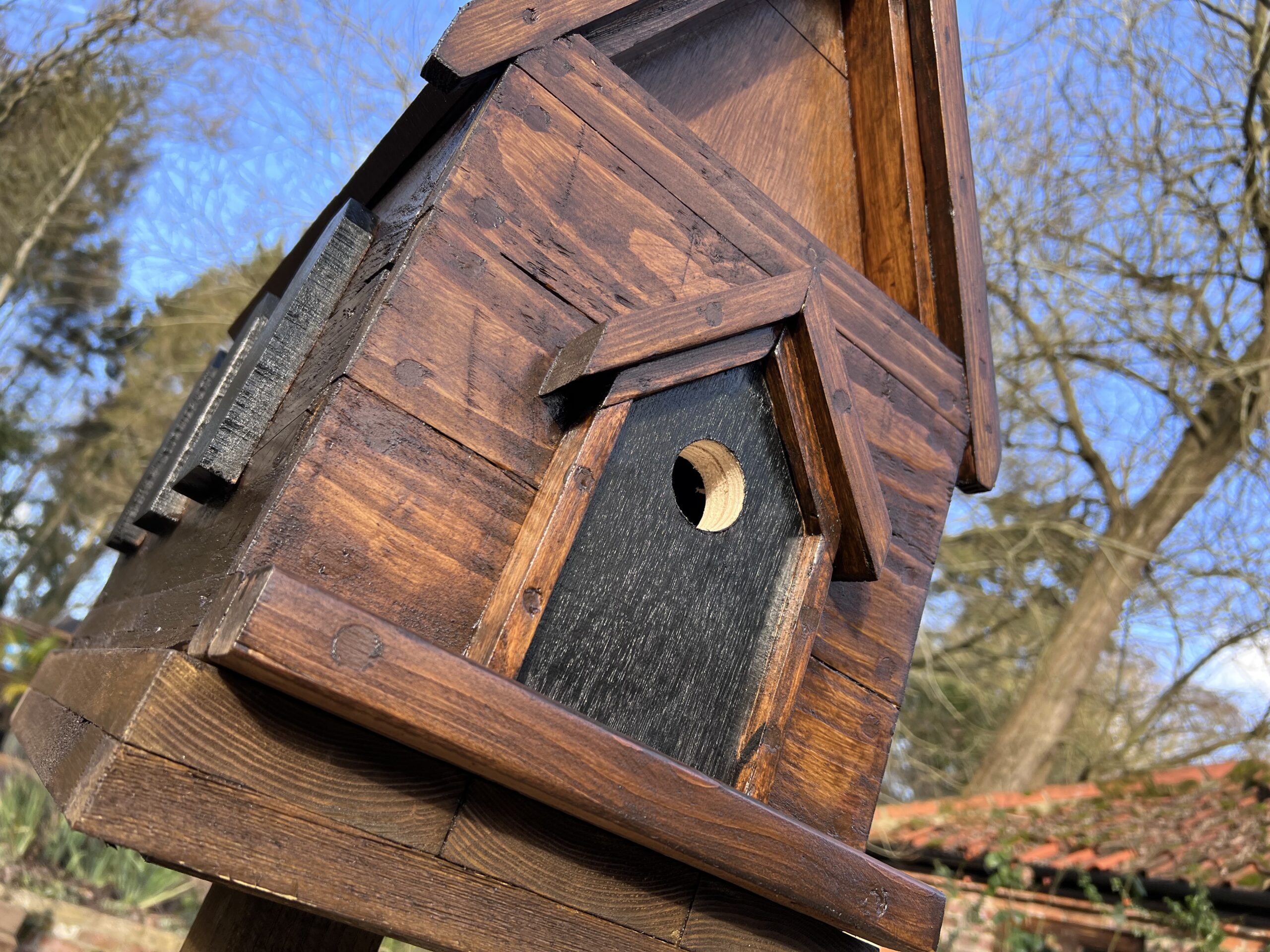 Gallery - Bird & Lodgings