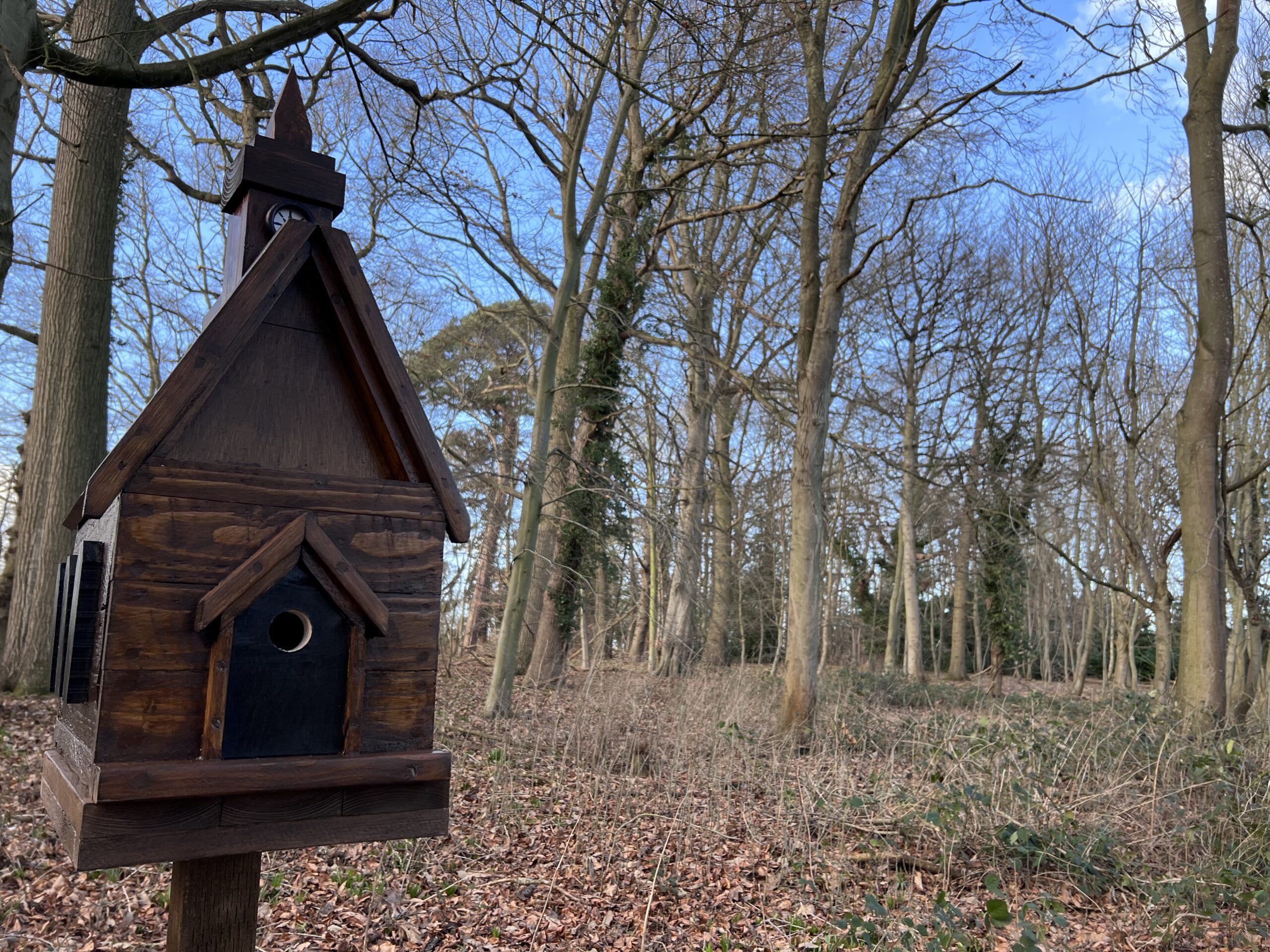 Gallery - Bird & Lodgings
