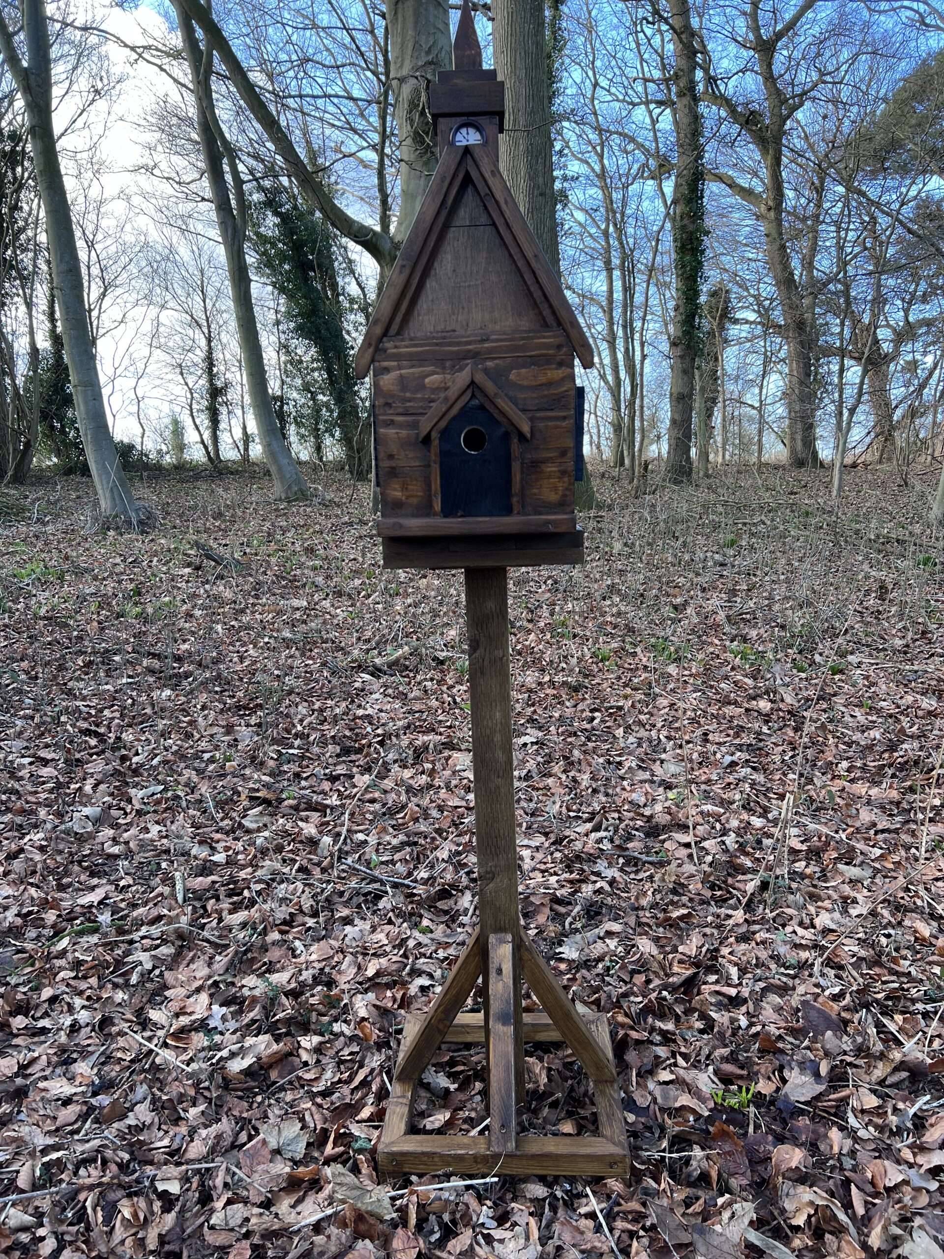 Gallery - Bird & Lodgings