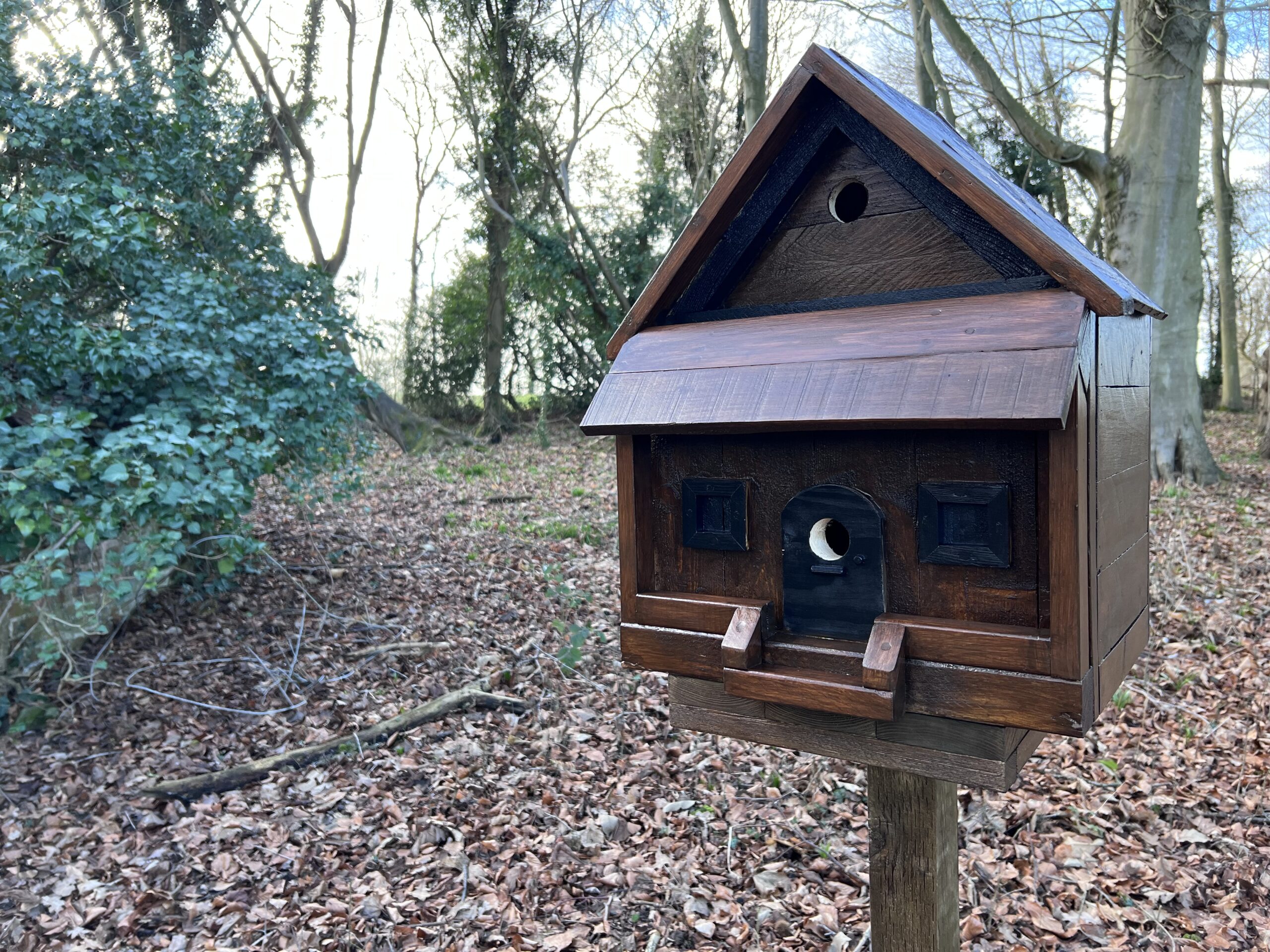 Gallery - Bird & Lodgings
