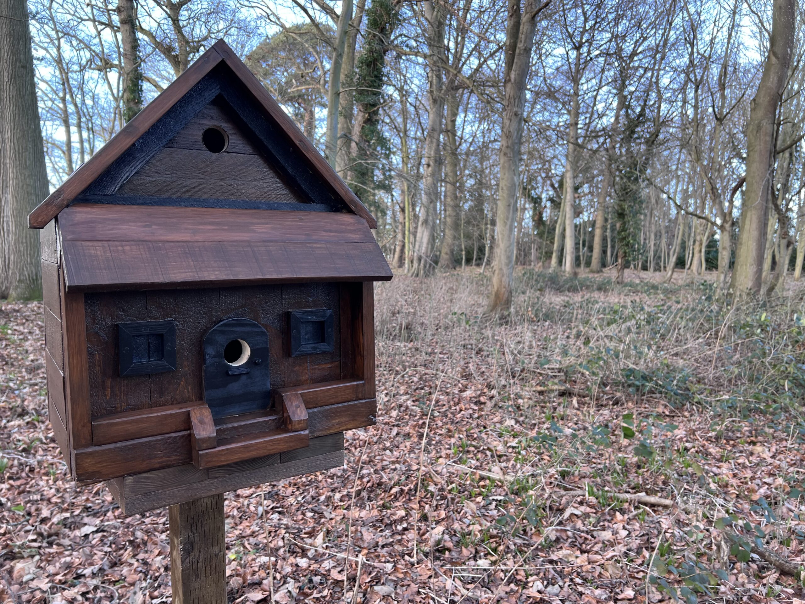 Gallery - Bird & Lodgings