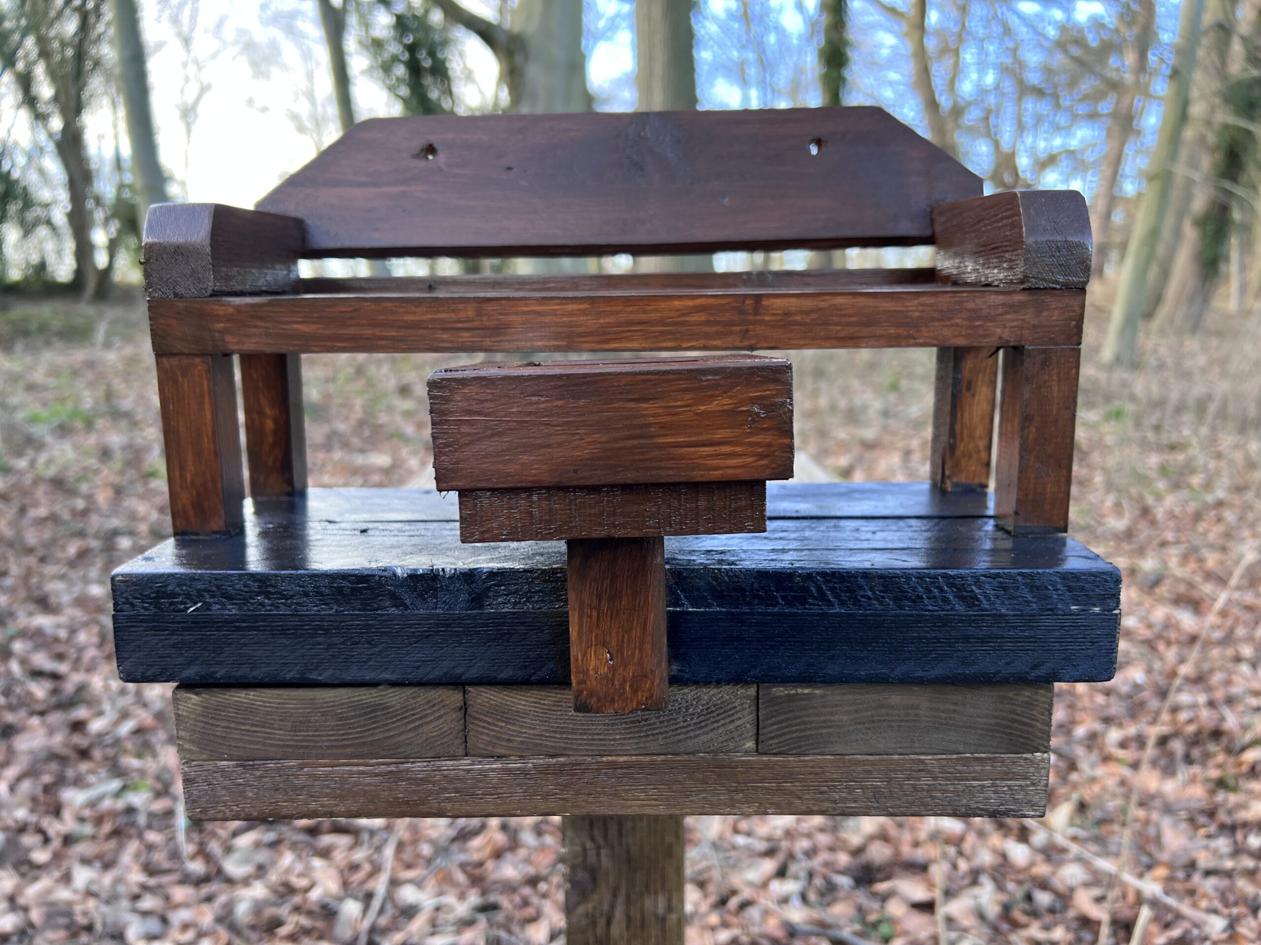 Gallery - Bird & Lodgings